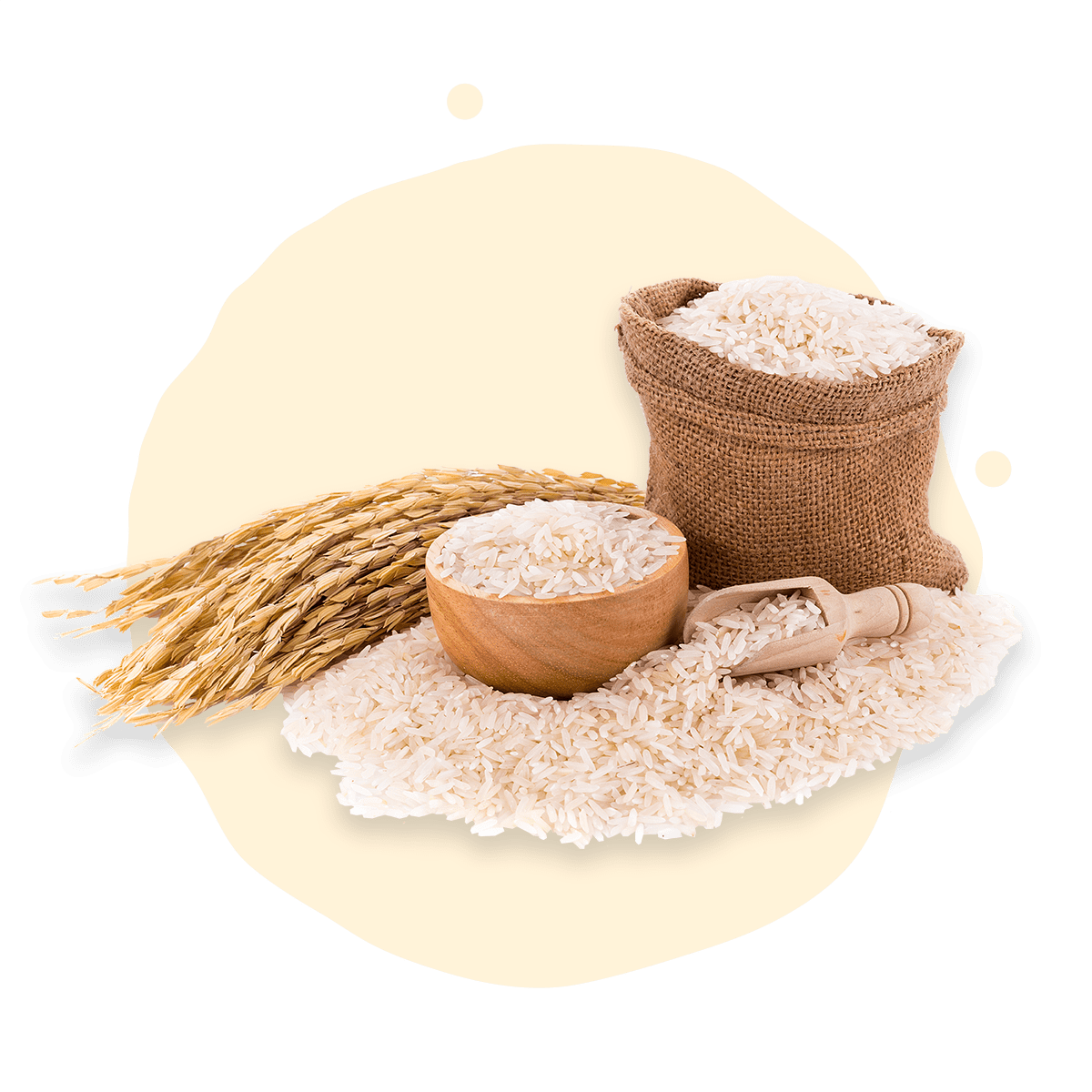 Riso Integrale, Bianco e Ribe in vendita online | Conad