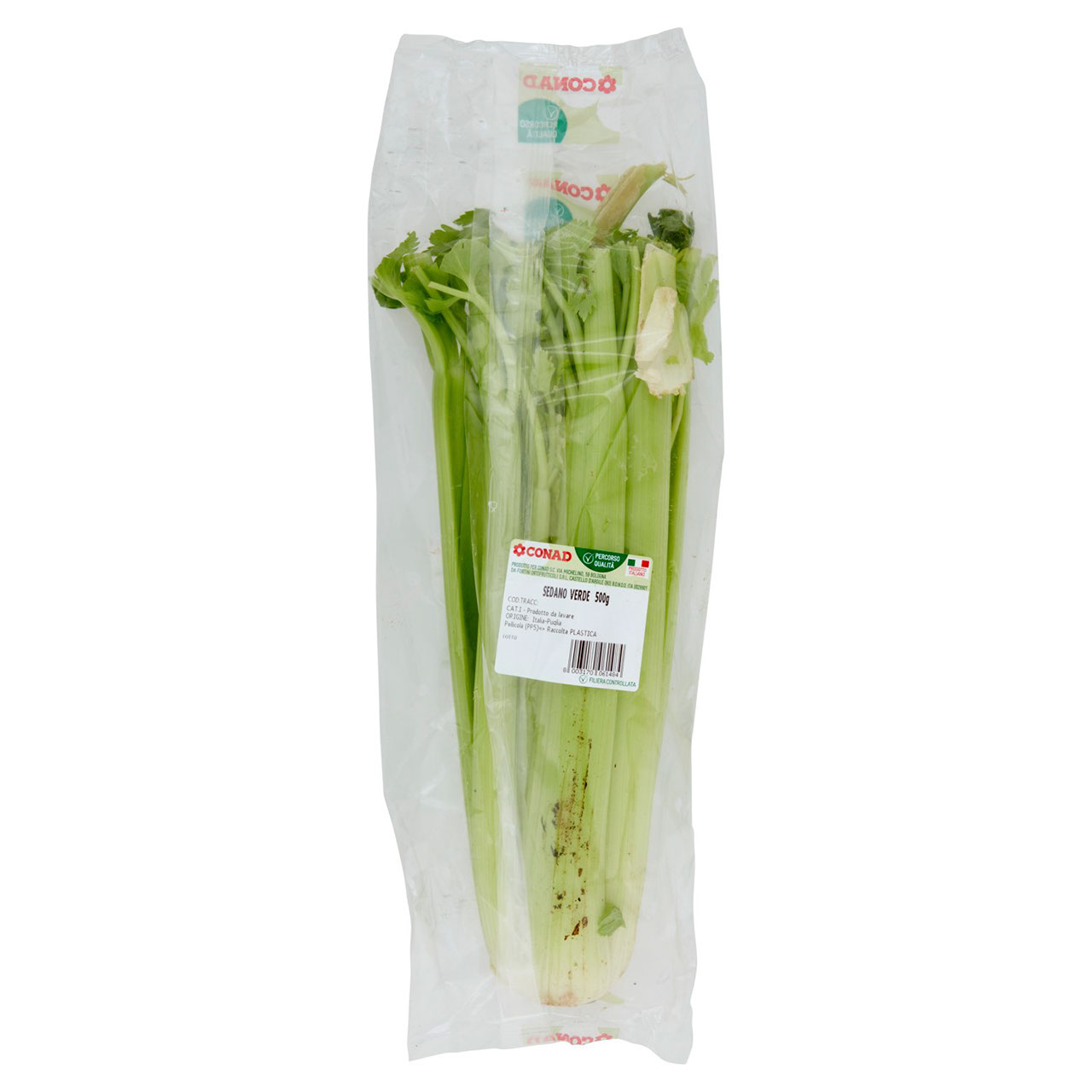 Sedano Verde Italia 500 g Percorso Qualità Conad | Conad