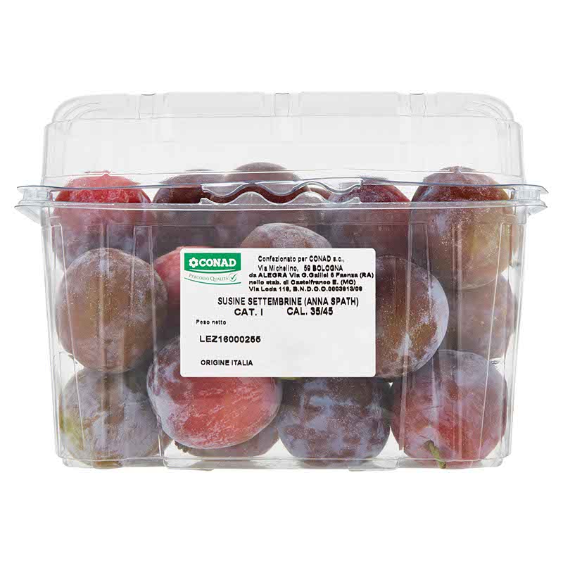 Susine Settembrine (Anna Spath) Italia cal. 35/45 1 kg Conad In Vendita ...