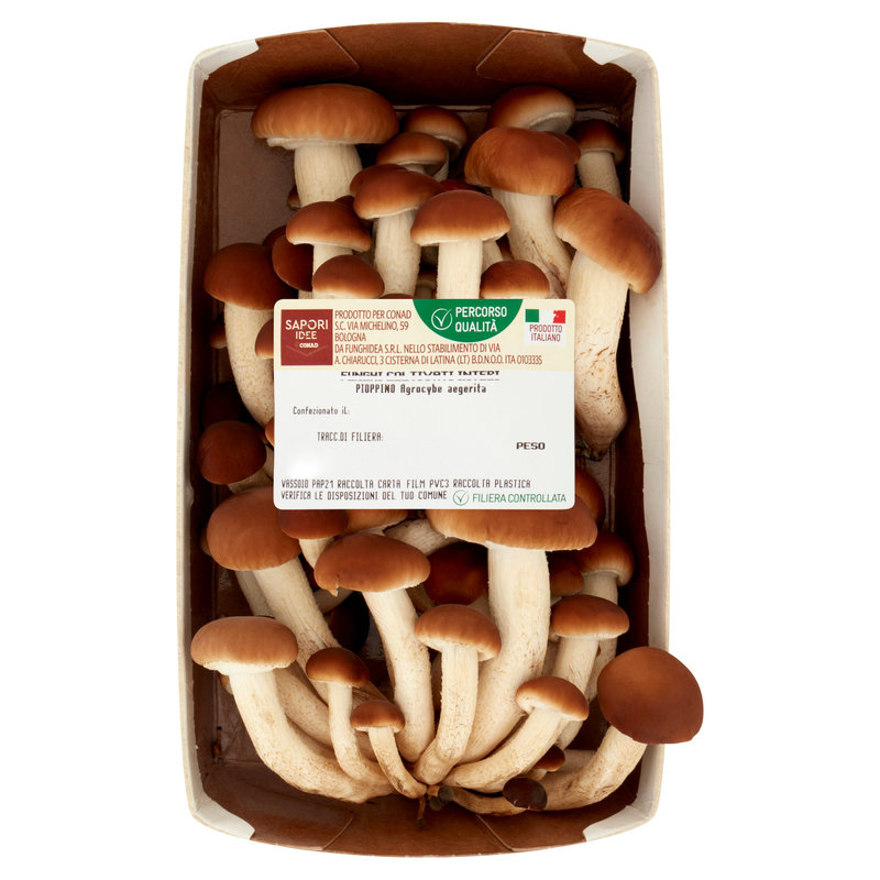 Funghi Coltivati Interi Pioppini 200g Conad Online | Conad